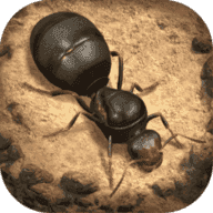 小小蚁国最新版中文版(The Ants)v1.30.0下载图标