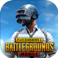 pubg国际服科技下载-直装国际服PUBG免费科技图标