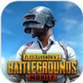 PUBG MOBILE国际服官网最新版下载图标