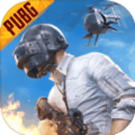 PUBG内置作弊悬浮窗图标