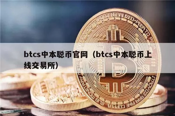 btcs中本聪币官网（btcs中本聪币上线交易所）图标