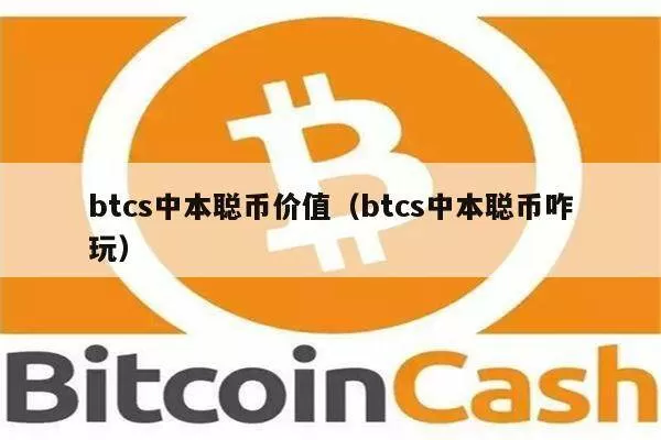 btcs中本聪币价值（btcs中本聪币咋玩）图标