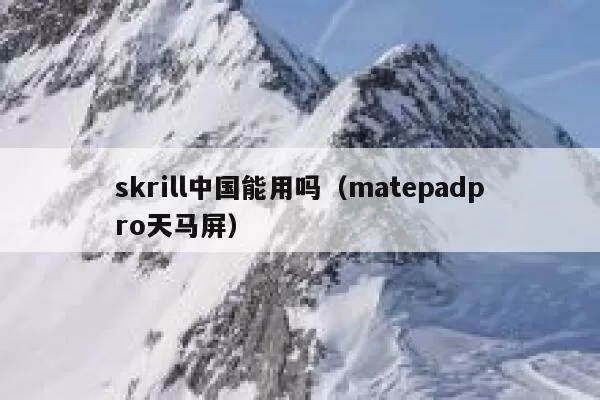 skrill中国能用吗图标