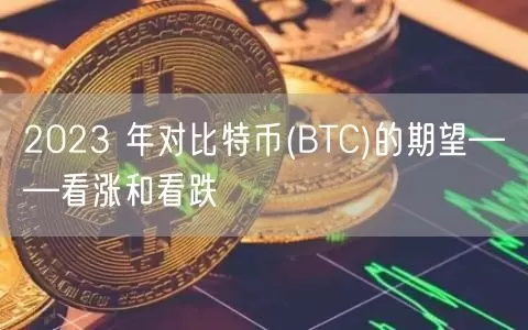 2023年对比特币的期望——看涨和看跌图标