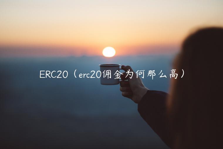 RC20（rc20佣金为何那么高）