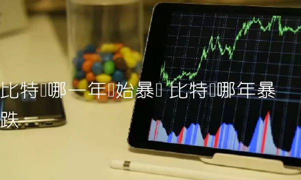 比特币哪一年开始暴涨比特币哪年暴跌图标