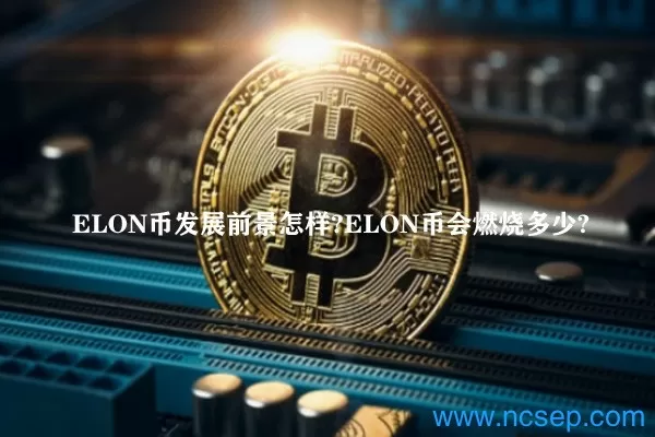 ELON币发展前景怎样ELON币会燃烧多少图标