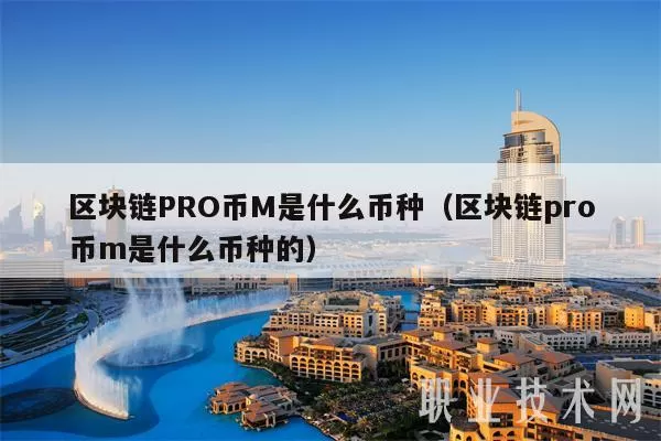 区块链PRO币M是什么币种（区块链pro币m是什么币种的）图标