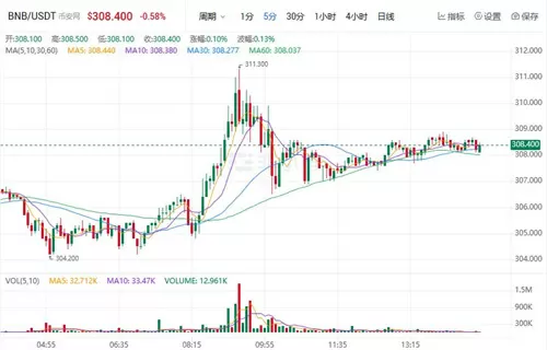 BNB近期最新价格BNB近期行情K线图图标