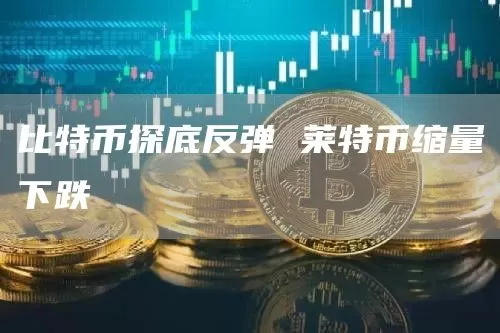 比特币探底反弹莱特币缩量下跌图标