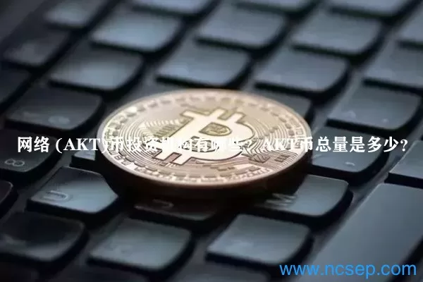 网络币投资机构有哪些AKT币总量是多少图标