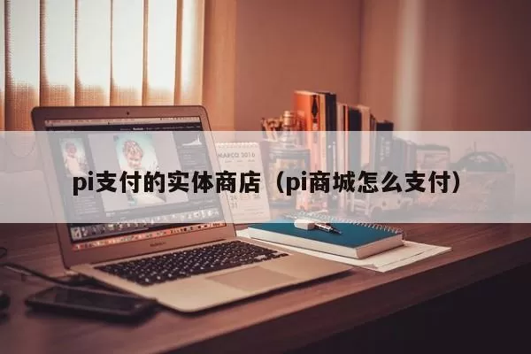 pi支付的实体商店图标