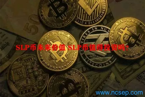 SLP币未来价值SLP币值得投资吗图标