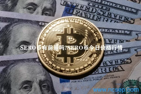 SERO币有前景吗SERO币今日价格行情图标