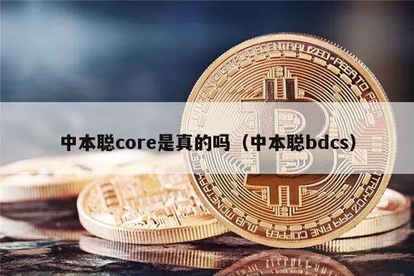 中本聪core是真的吗（中本聪bdcs）图标