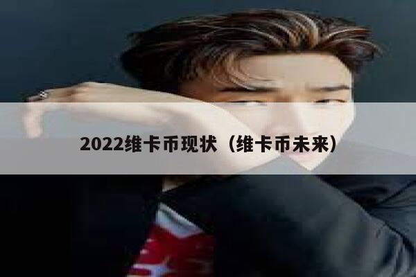 2022维卡币现状图标