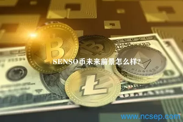 SENSO币未来前景怎么样图标