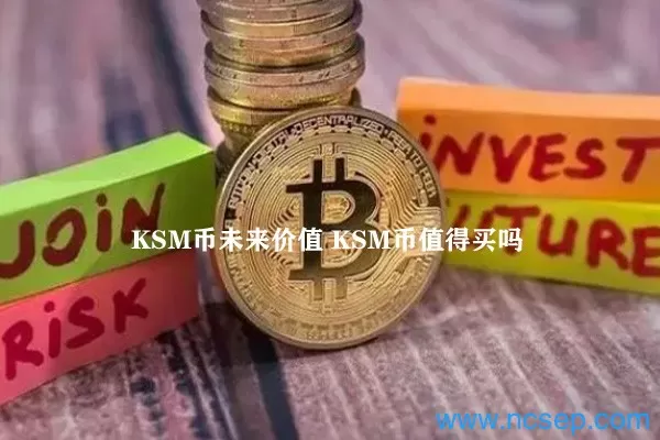 KSM币未来价值KSM币值得买吗图标