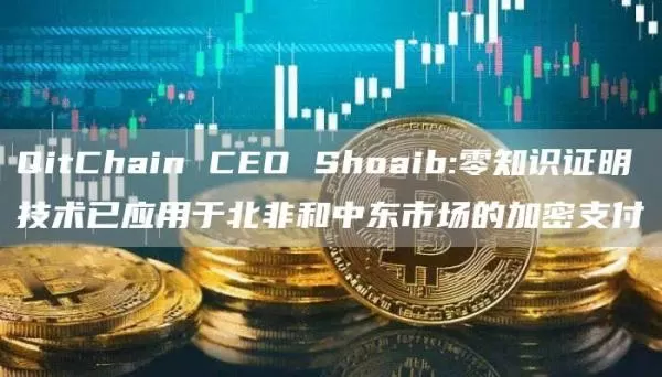 QitChainCEOShoaib:零知识证明技术已应用于北非和中东市场的加密支付