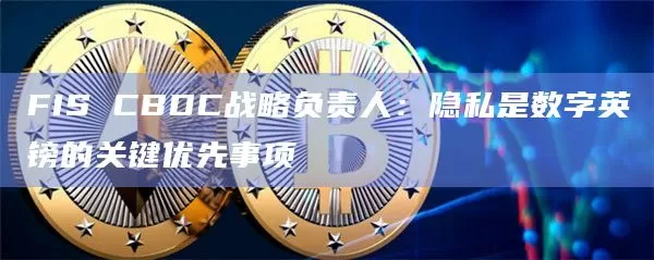 FISCBDC战略负责人：隐私是数字英镑的关键优先事项图标