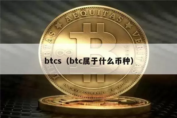 btcs（btc属于什么币种）图标