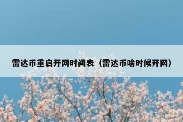 雷达币重启开网时间表图标