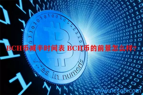 BCH币减半时间表BCH币的前景怎么样图标