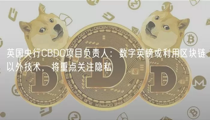 英国央行CBDC项目负责人：数字英镑或利用区块链以外技术，将重点关注隐私图标