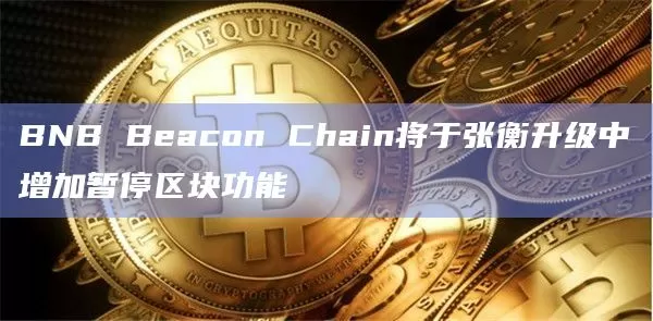 BNBBeaconChain将于张衡升级中增加暂停区块功能图标