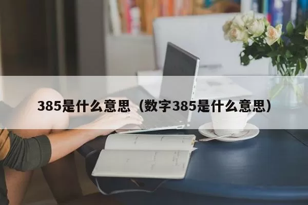 385是什么意思图标