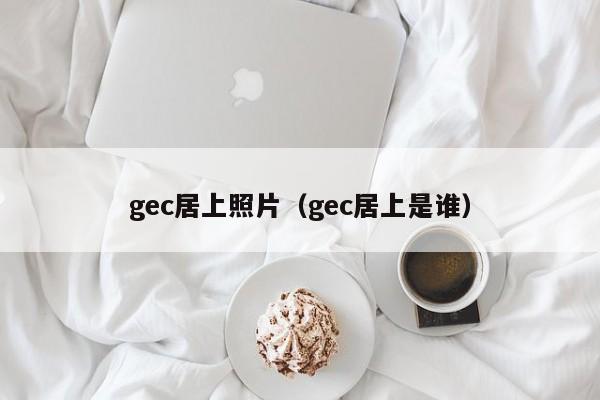 gec居上照片图标