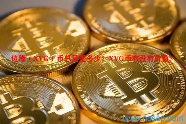 边缘币总量是多少XVG币有没有价值图标