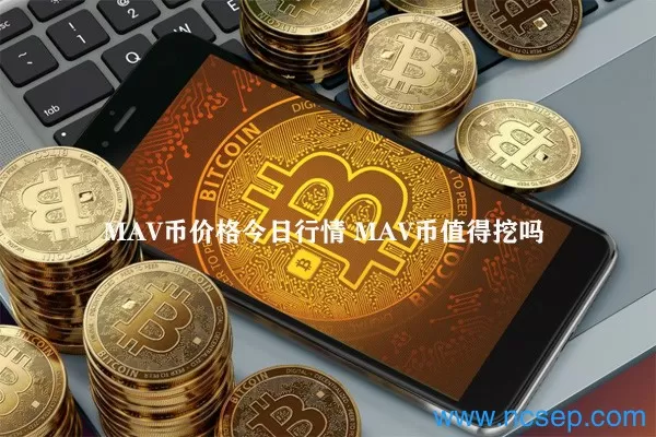 MAV币价格今日行情MAV币值得挖吗图标