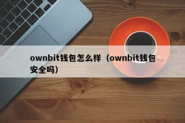 ownbit钱包怎么样图标