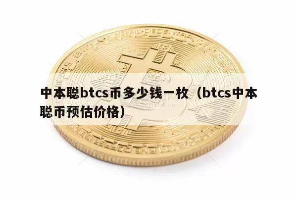 中本聪btcs币多少钱一枚（btcs中本聪币预估价格）图标