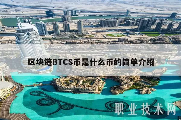 区块链BTCS币是什么币的简单介绍