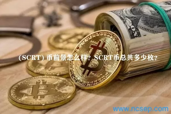 币前景怎么样SCRT币总共多少枚