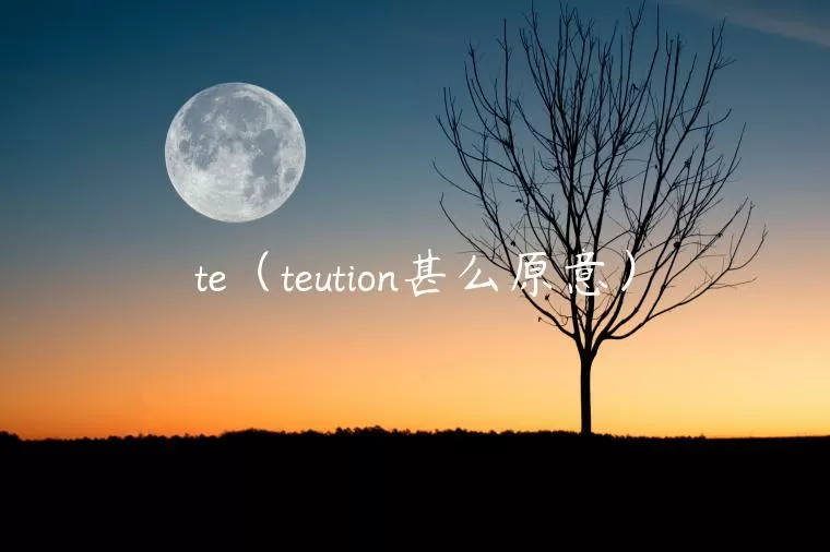 t（tution甚么原意）图标