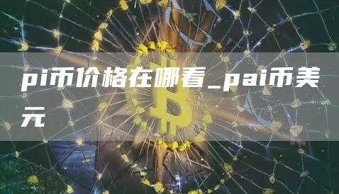 pai币美元图标