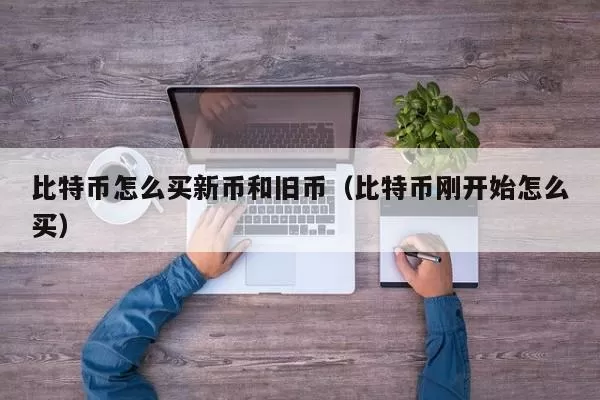 比特币怎么买新币和旧币图标