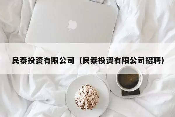 民泰投资有限公司图标