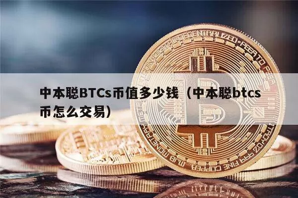 中本聪BTCs币值多少钱（中本聪btcs币怎么交易）图标