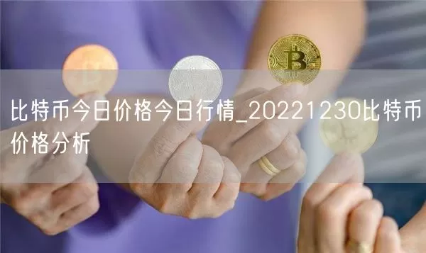 20221230比特币价格分析图标