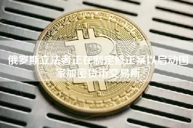 俄罗斯立法者正在制定修正案以启动国家加密货币交易所图标