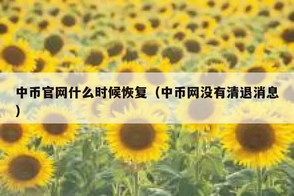 中币官网什么时候恢复