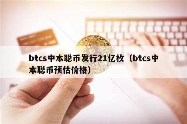 btcs中本聪币发行21亿枚（btcs中本聪币预估价格）图标