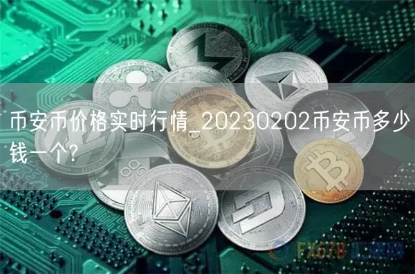 20230202币安币多少钱一个?图标