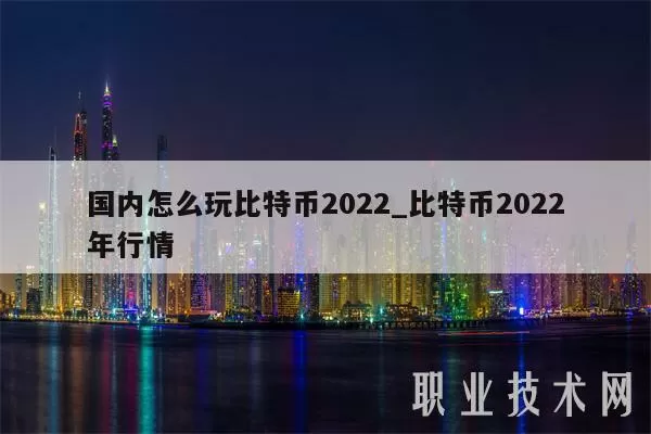 国内怎么玩比特币2022图标