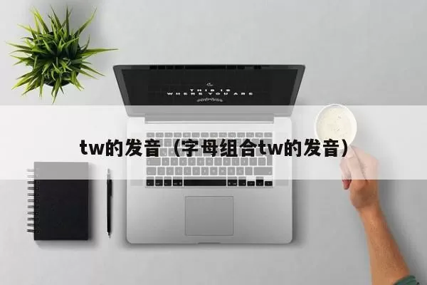 tw的发音图标