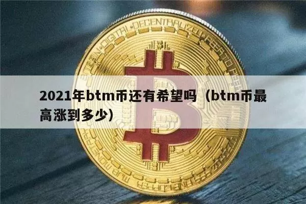 2021年btm币还有希望吗（btm币最高涨到多少）图标